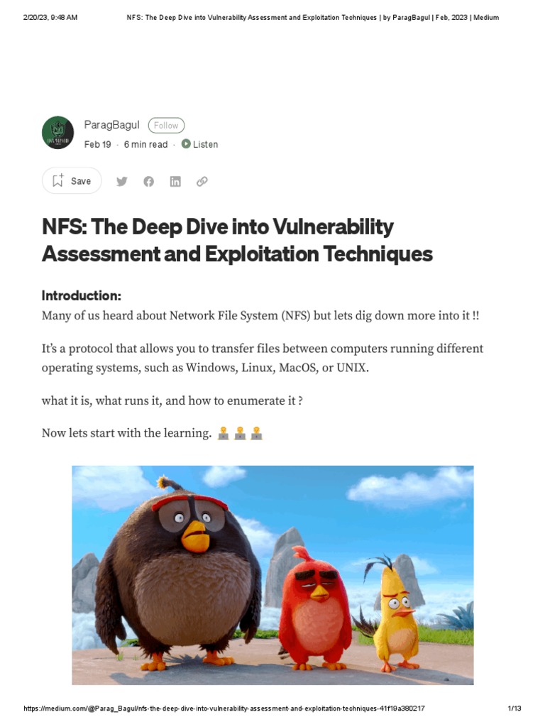 NFS_ the Deep Dive Into Vulnerability Assessment and Exploitation ...