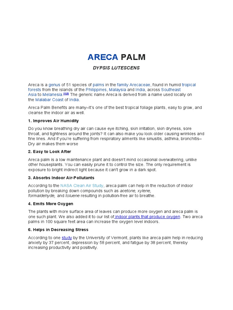 Areca Palm | PDF | Home & Garden