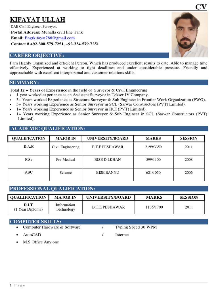 New CV | PDF