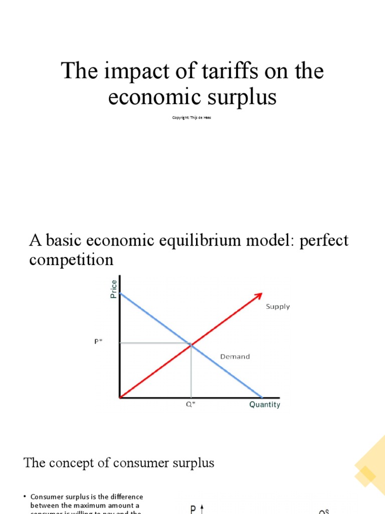 Wealth Effects of Tariffs | PDF