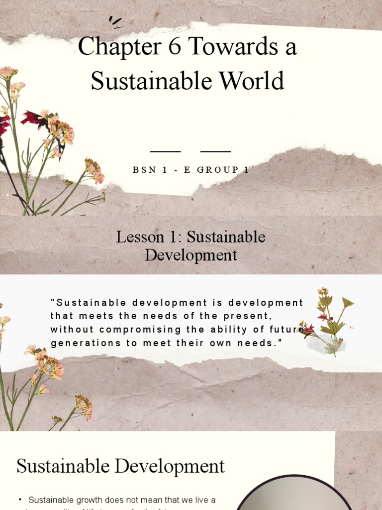 Chapter 6 Towards A Sustainable World | PDF | Sustainability ...