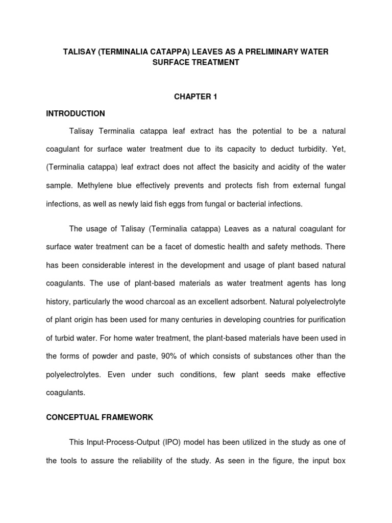 Talisay Leaves Research | PDF