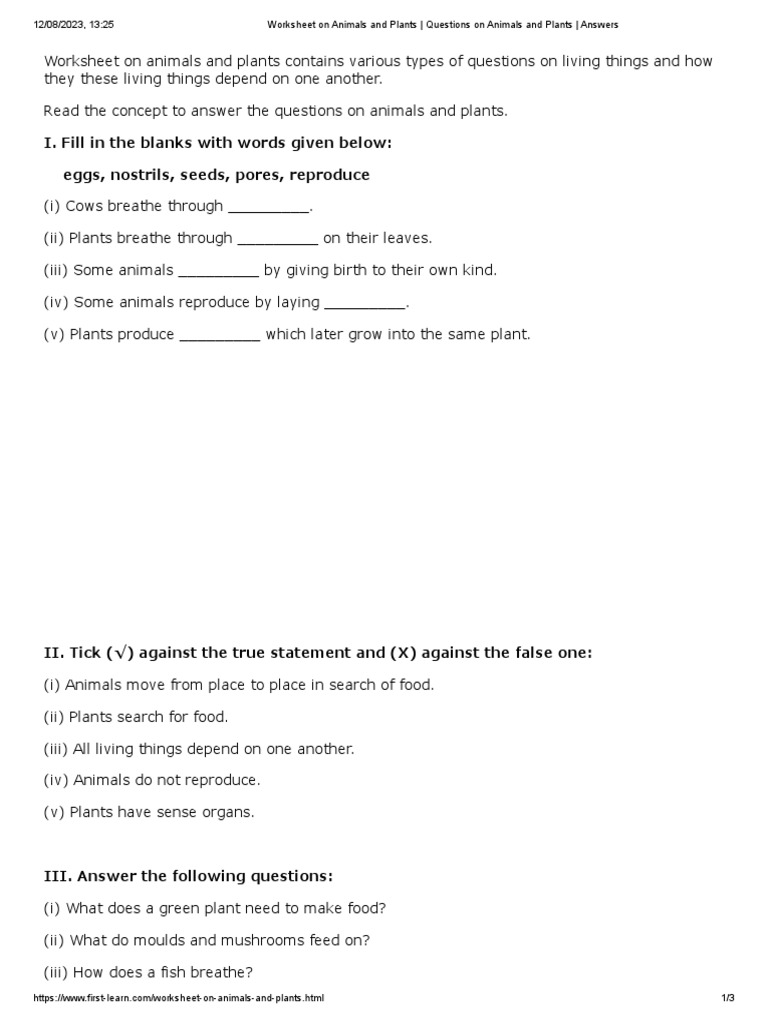 Animals and Plants Worksheet Answers | PDF