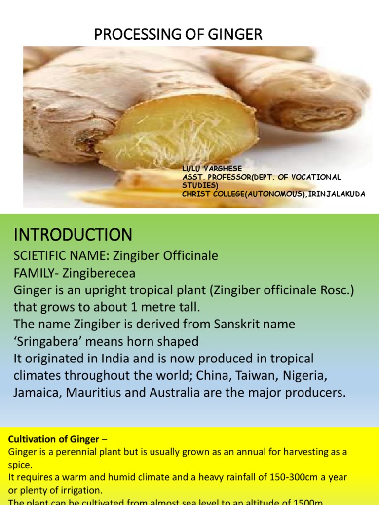 Proc of Ginger | PDF | Ginger | Drink