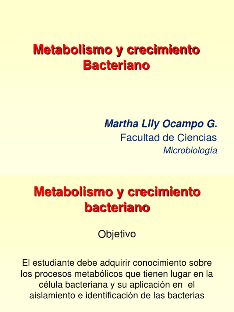 Metabolismo MLOG A 2023 | PDF