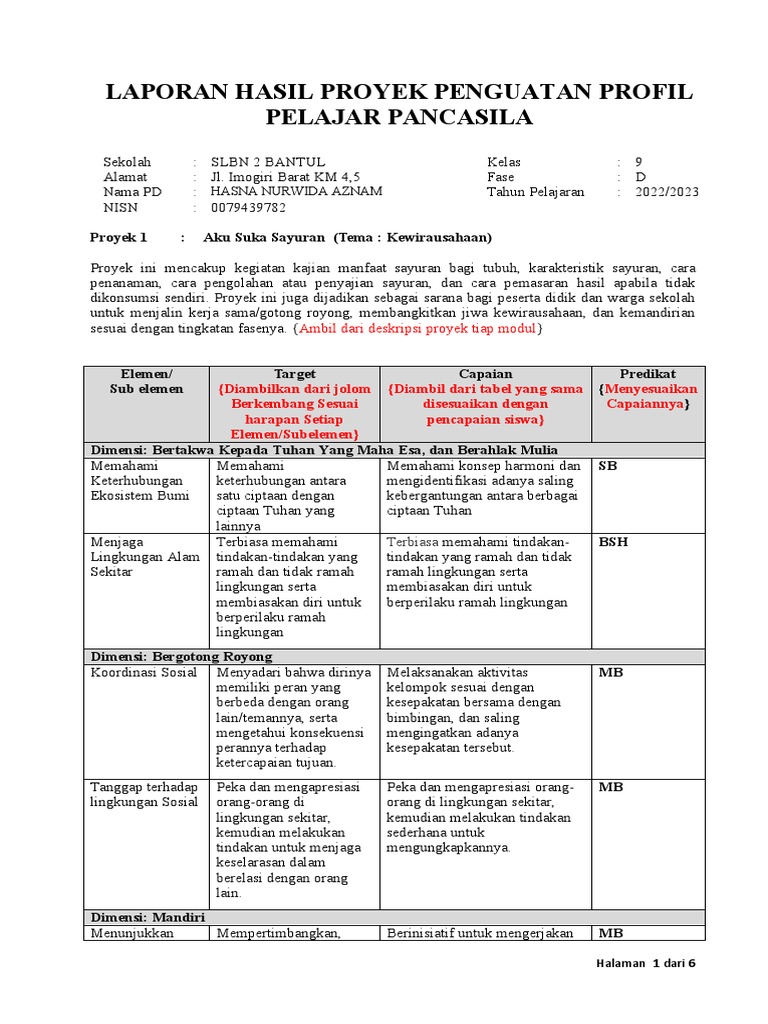 Raport P5 Hasna | PDF