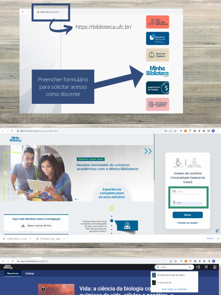 Instruções Minha Biblioteca | PDF