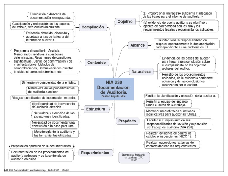 NIA 230 Documentación de Auditoría | PDF