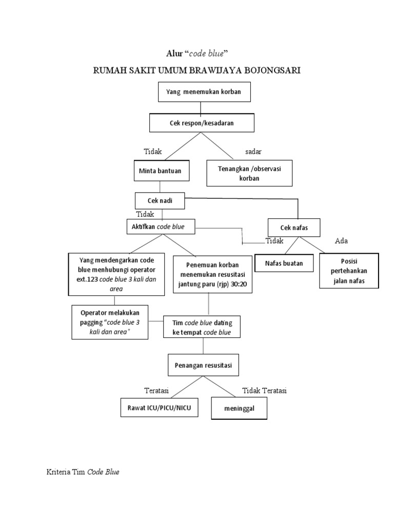Alur Code Blue | PDF