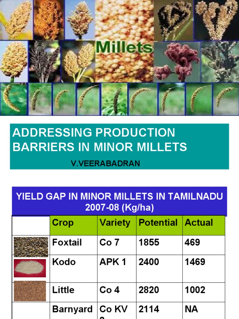 Veerabadran Millets | PDF | Home & Garden | Technology & Engineering