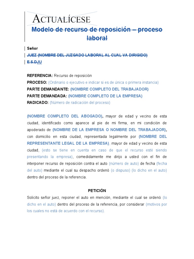 Recurso de Reposicion | PDF