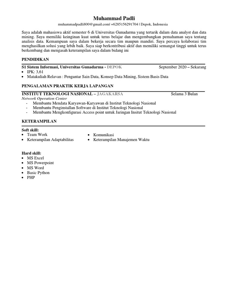 CV Muhammad Padli Data Analyst | PDF | Karier & Perkembangan