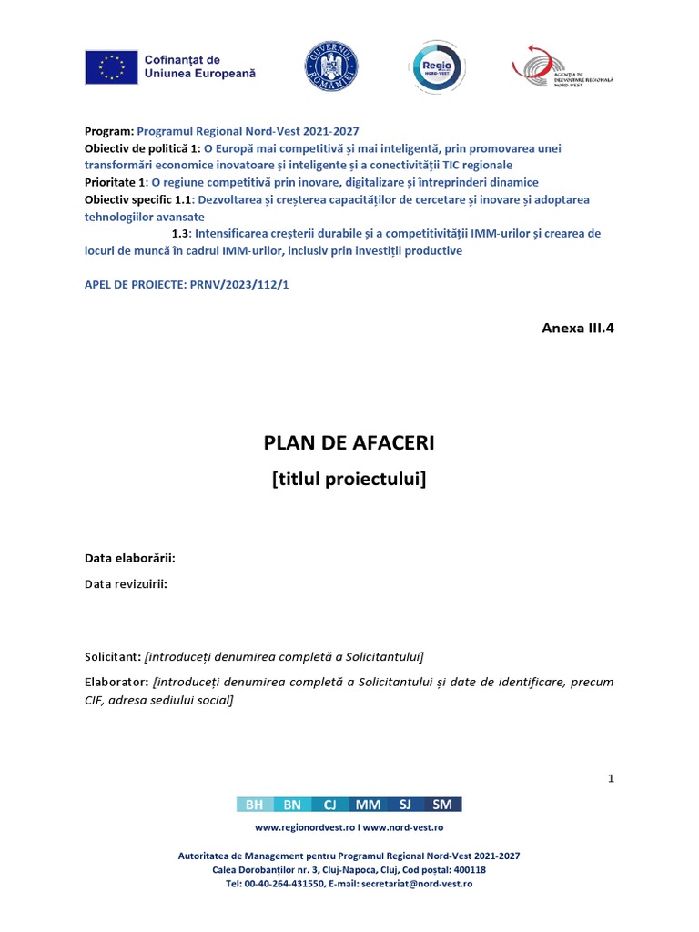 Anexa III.4 - Plan de afaceri | PDF