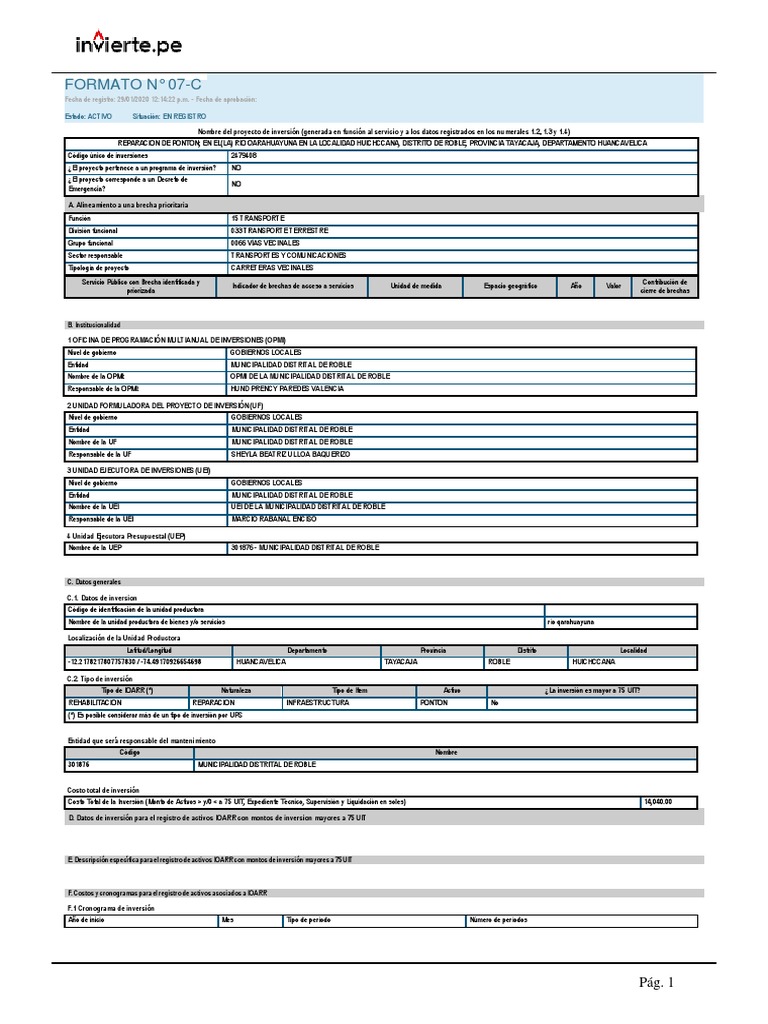 Formato #07-C: Situación: EN REGISTRO Estado: ACTIVO | PDF | Economias