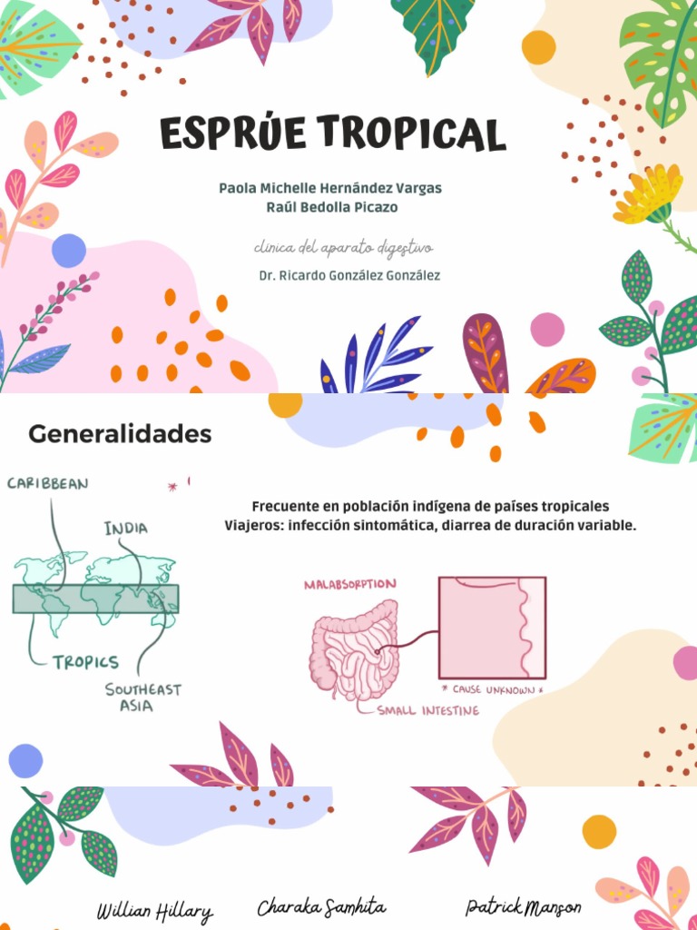 Esprúe Tropical | PDF