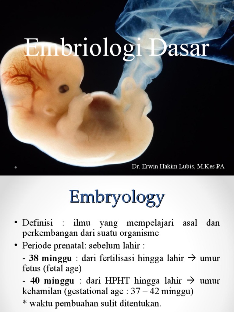Embriologi Dasar | PDF