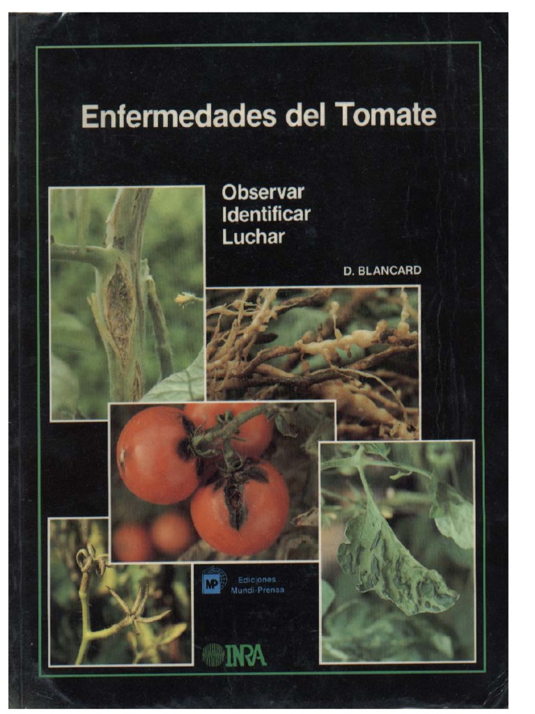 Enfermedades Del Tomate, Observar, Identificar | PDF