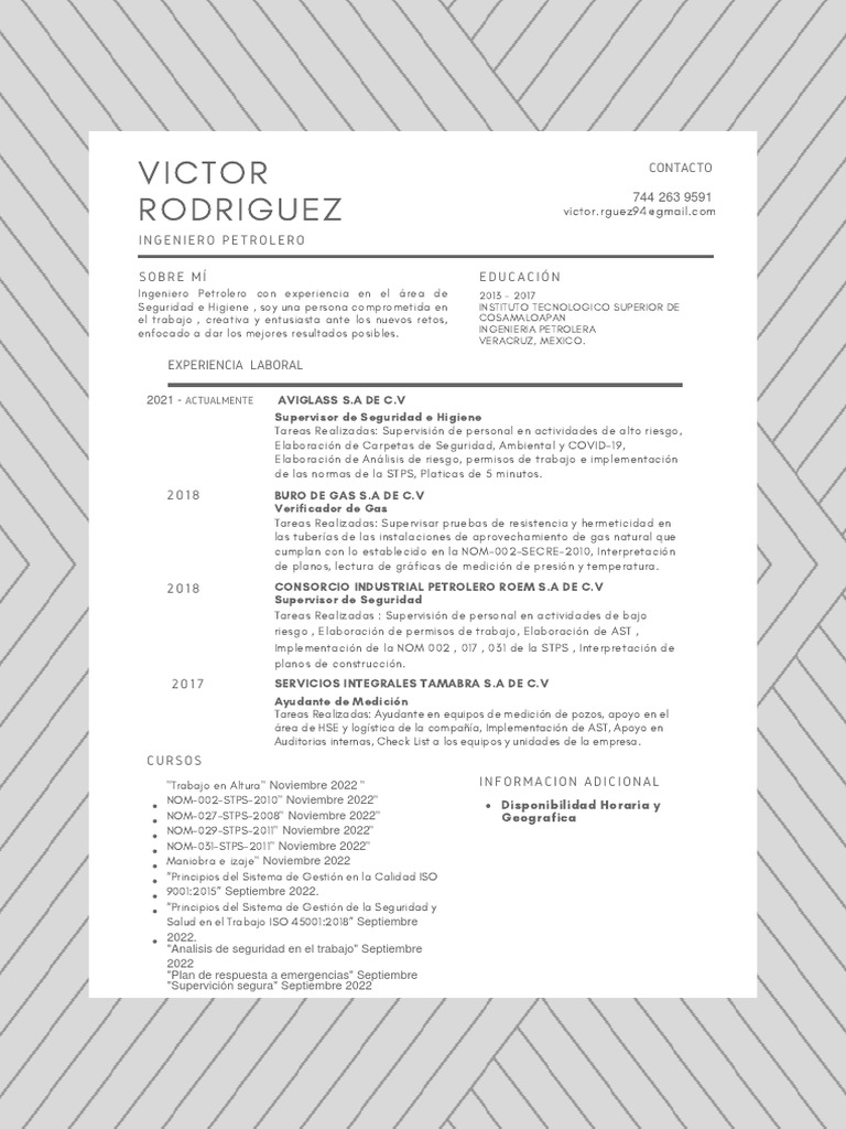CV Victor Rodriguez | PDF