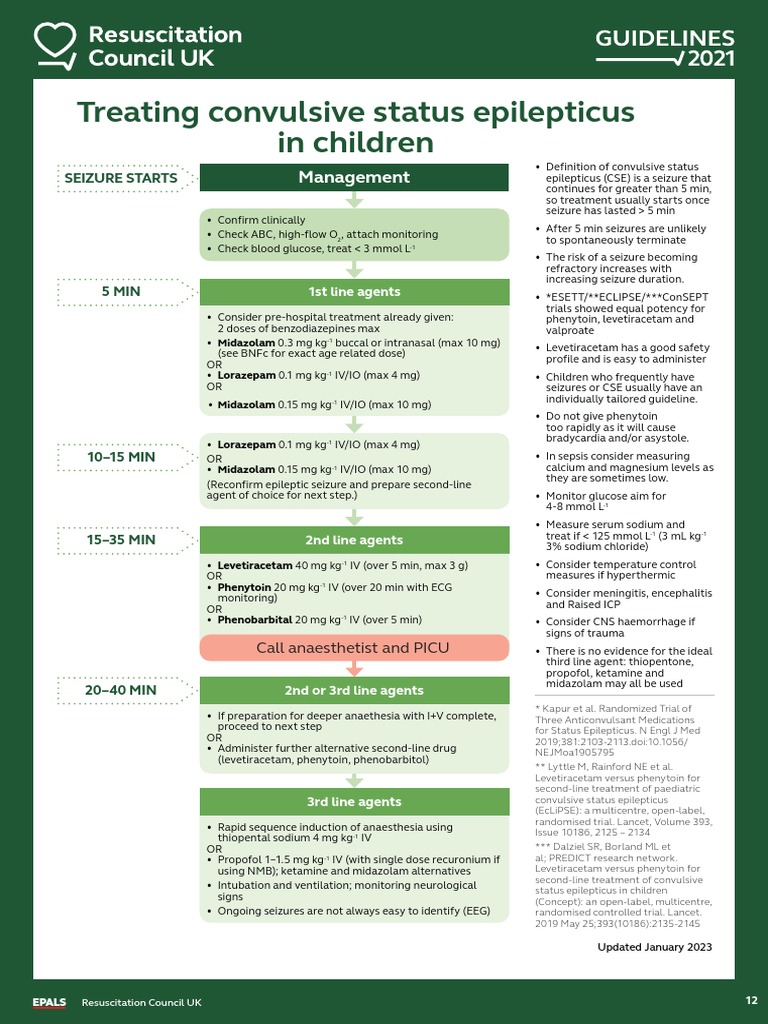 EPALS CSE Flowchart Jan 23 V2 | PDF