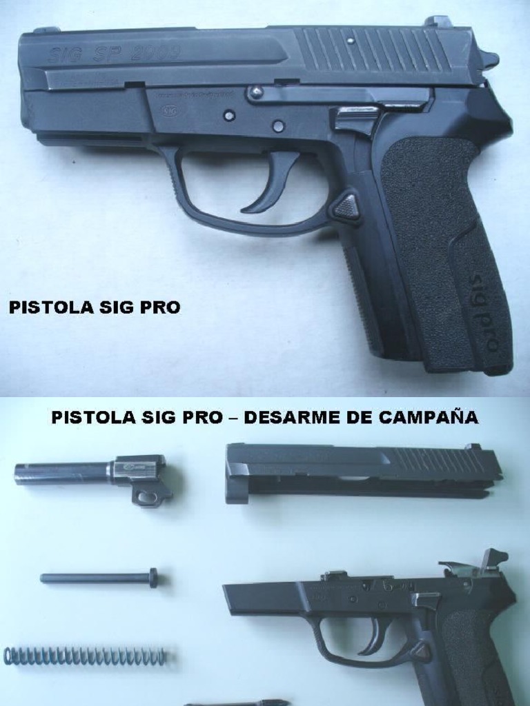 Sig Pro | PDF