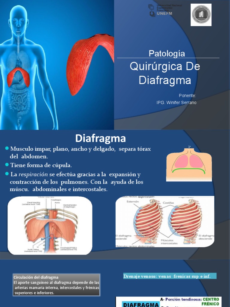 Patologia Quirurgica Del Diafragma Pdf