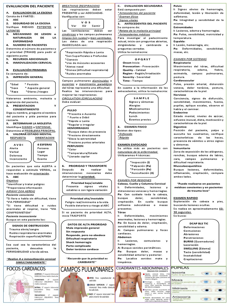 Evaluacion Del Paciente Dcap Btls | PDF