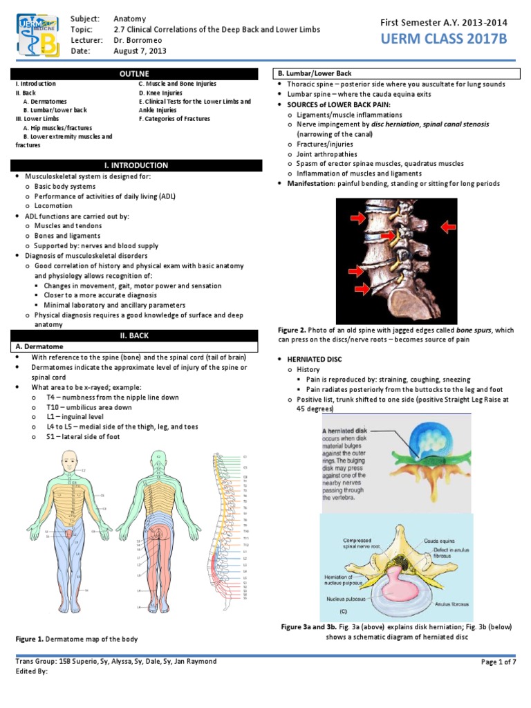 Anatomy 2.7 Clinical Correlation of The Deep Back and Lower Limbs - Dr ...