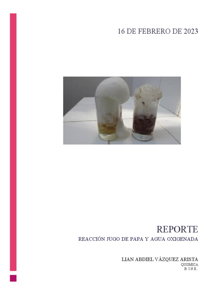 Reporte jugo de papa y agua oxigenada vgowin terminado | PDF | Masa ...