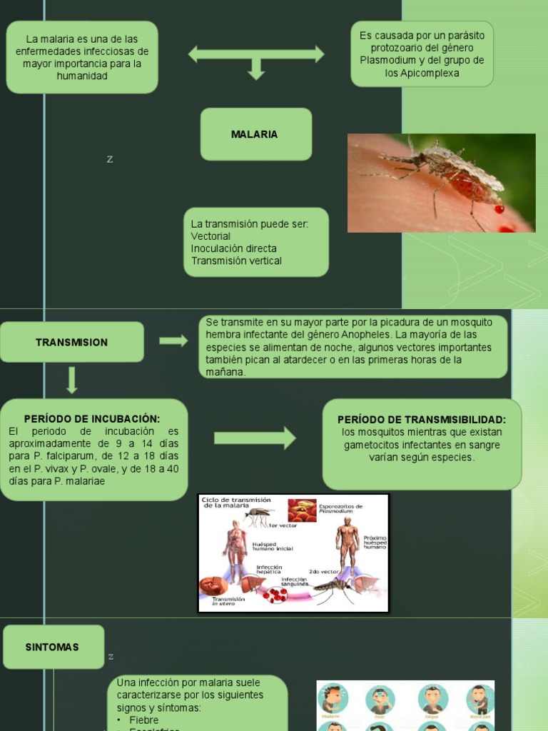 Malaria | PDF | Malaria | Especialidades Medicas