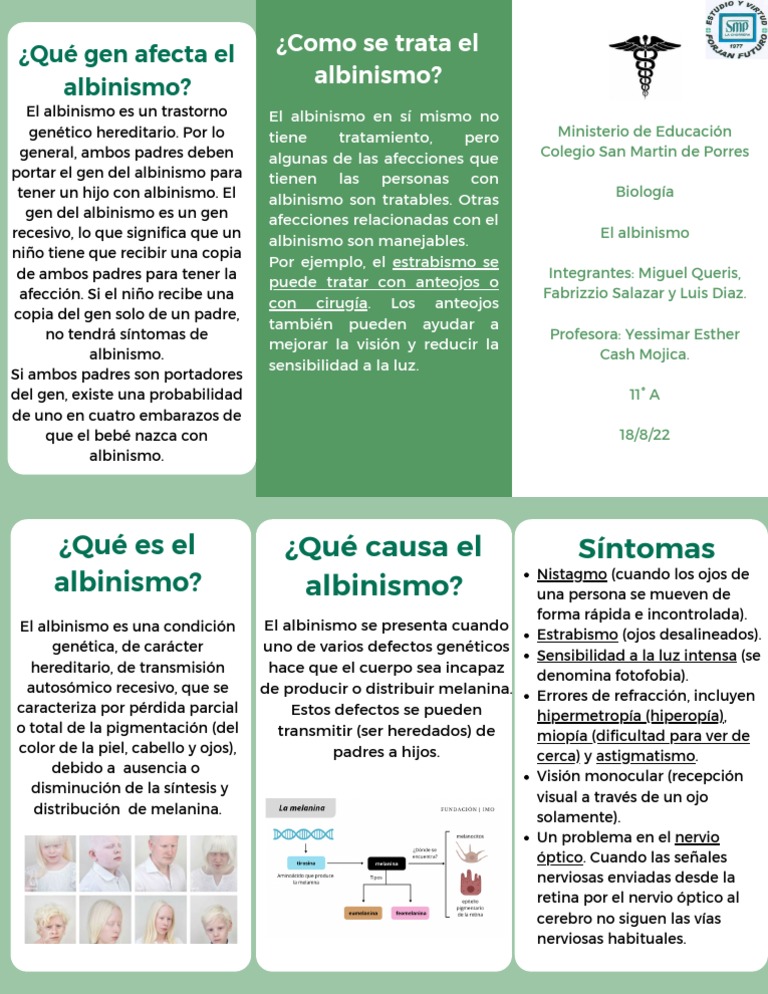 TRiptico sobre el Albinismo | PDF