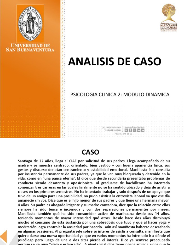Analisis de Caso | PDF