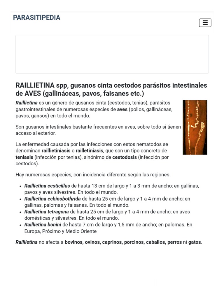 RAILLIETINA SPP, Gusanos Cinta Cestodos Parásitos Intestinales de AVES ...