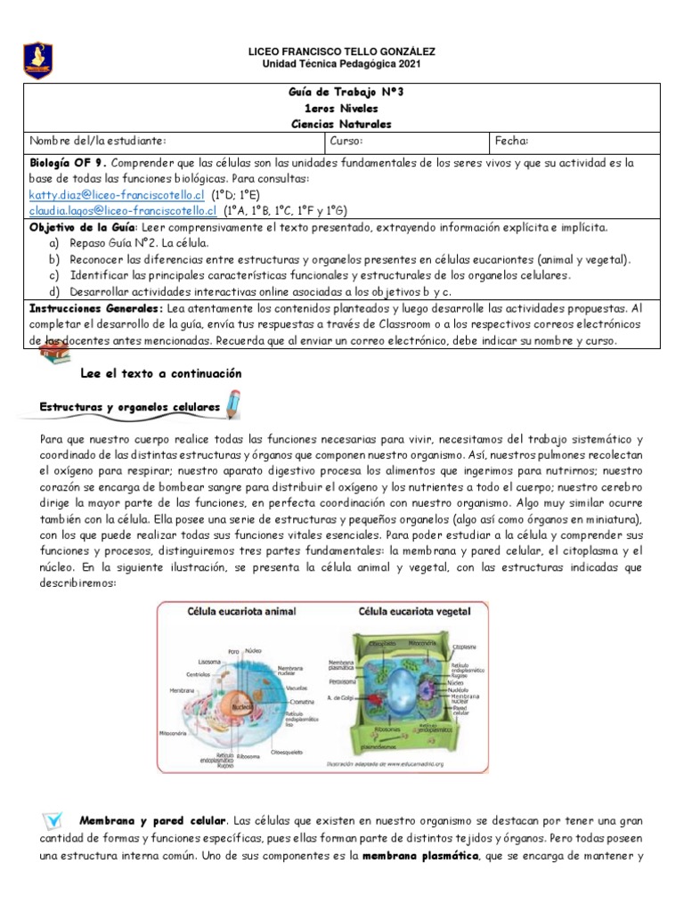 Csnat MP 1C N3 | PDF