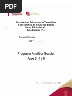 Rezago Educativo en Educación Primaria | PDF | Educación primaria | Educación de la primera infancia