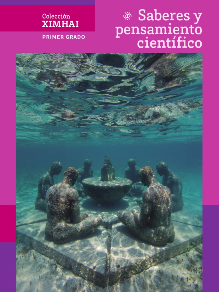 Colección Ximhai Saberes y Pensamiento Científico Primer Grado | PDF