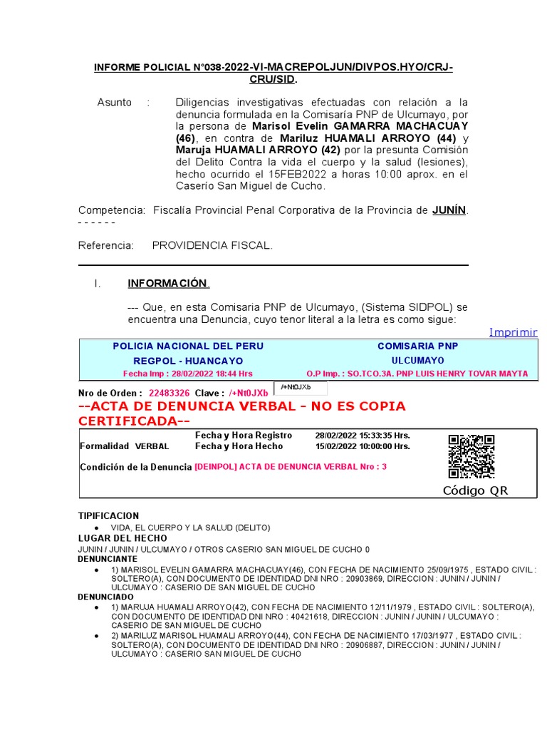 Modelo de Informe Policial S3 Trinidad | PDF | Ley Pública | Crímenes