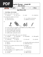 Grade 10 Commerce First Term Papers | PDF