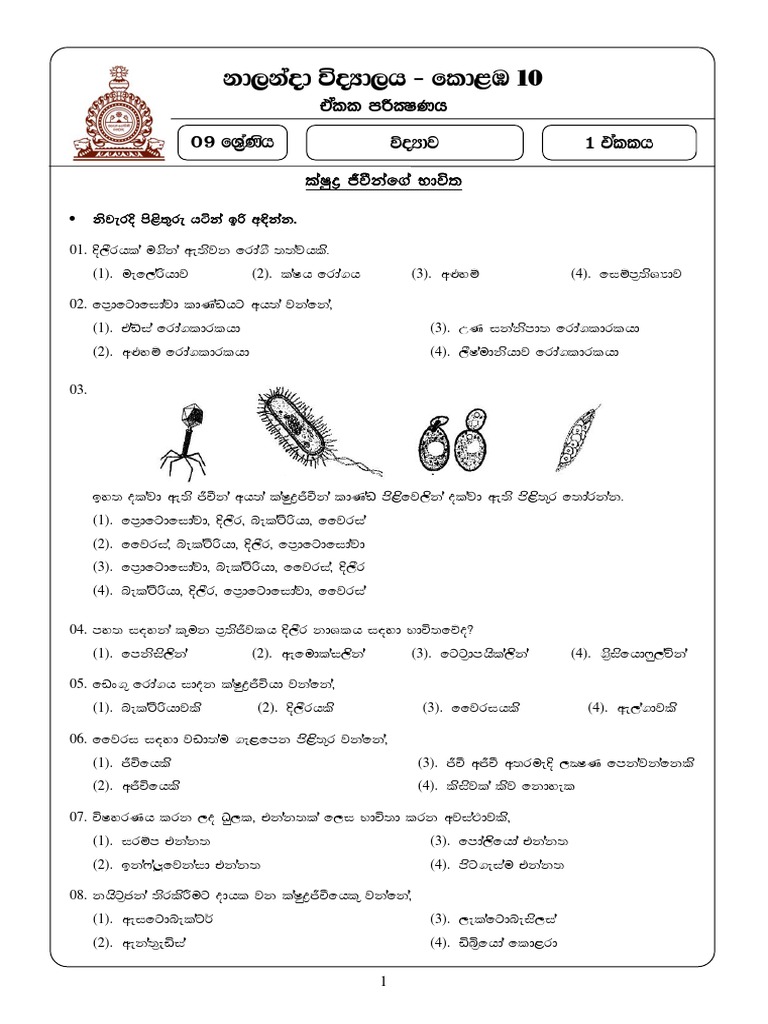 Science 1st Lesson Unit Paper | PDF