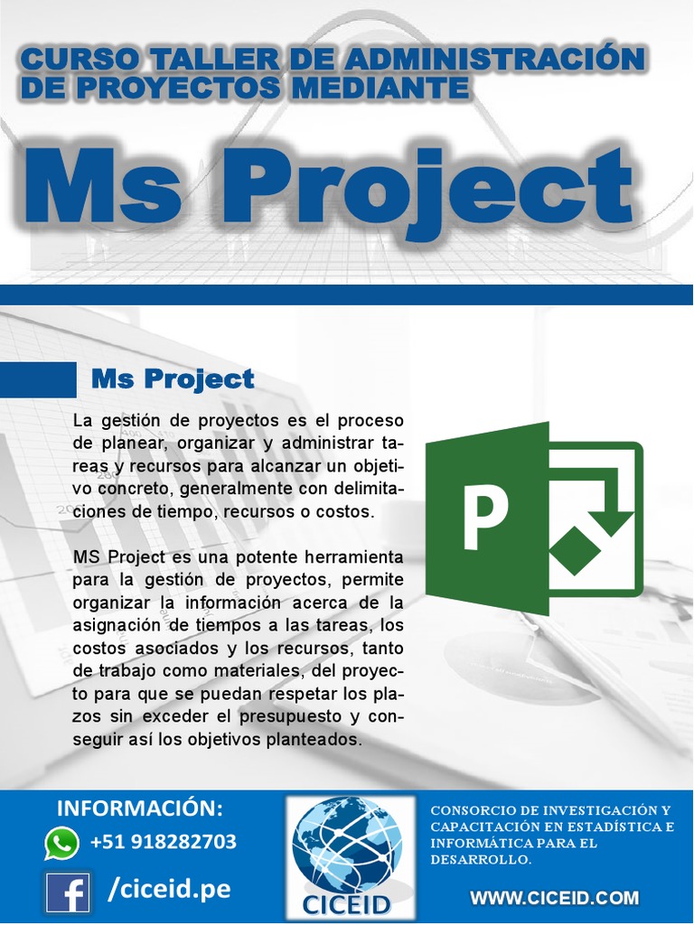 Contenido Ms Project | PDF