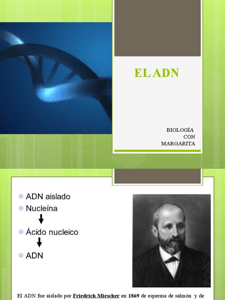 EL ADN | PDF