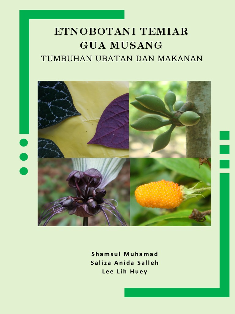 Etnobotani Temiar Gua Musang eBook | PDF