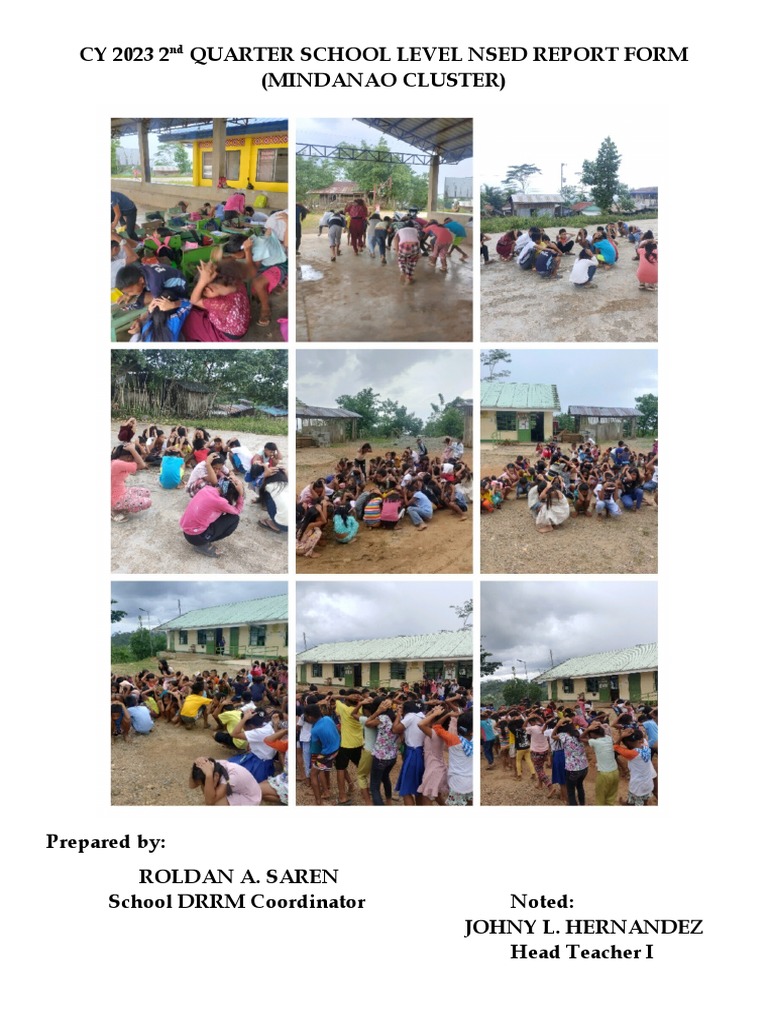 CY 2023 2nd QUARTER SCHOOL LEVEL NSED REPORT FORM | PDF