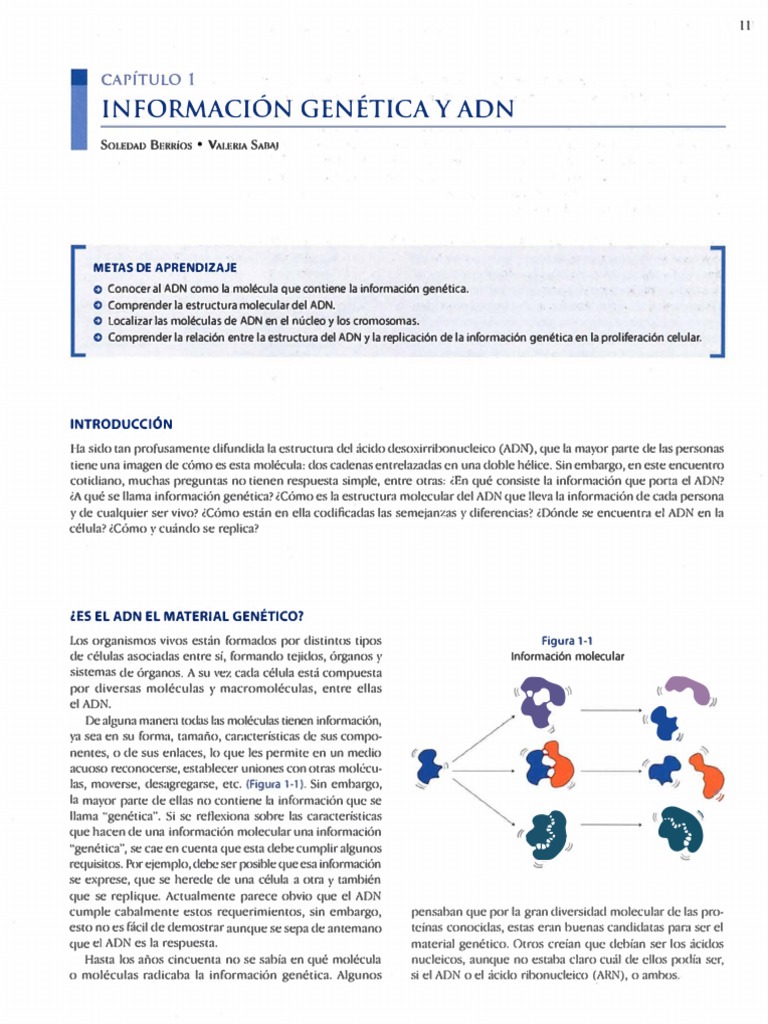 Libro Genética | PDF