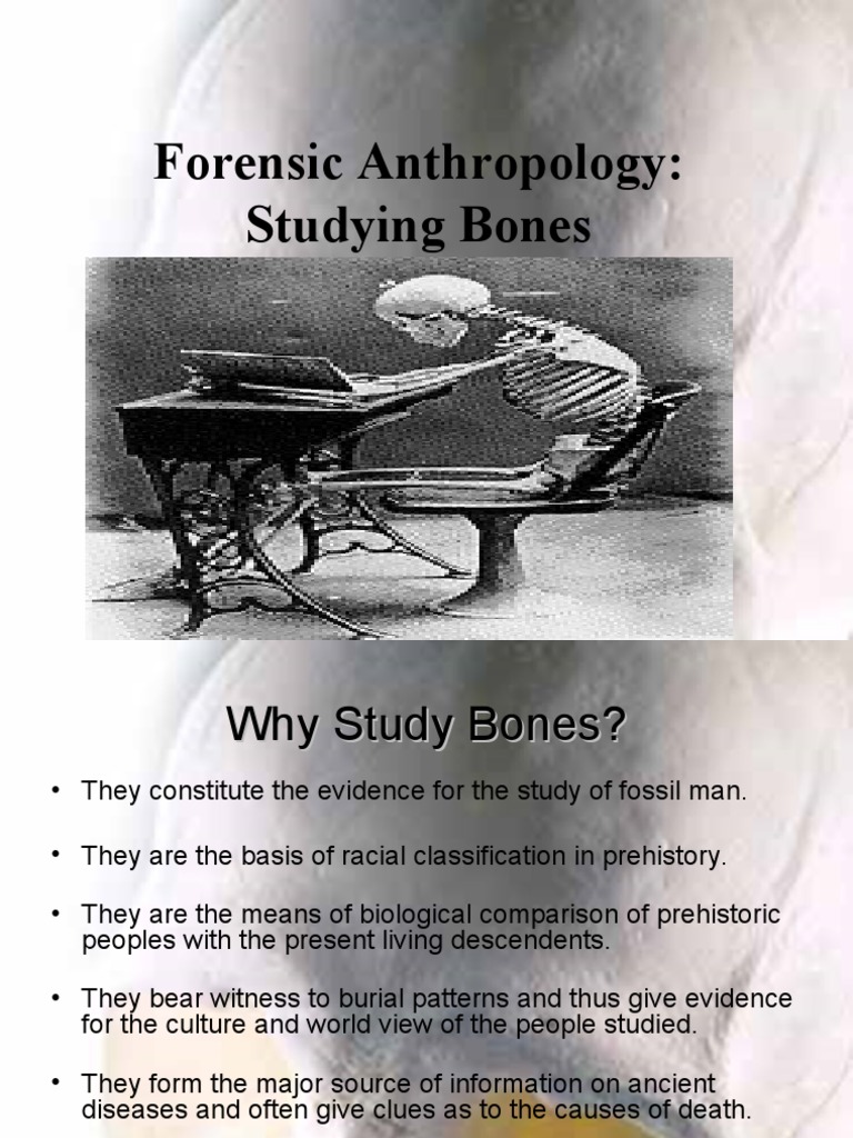 Unit 3 Forensic Anthropology | PDF | Race (Human Categorization) | Skull