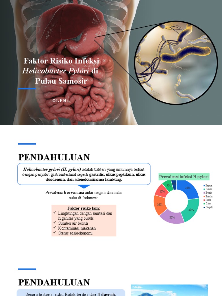 Faktor Risiko Infeksi Helicobacter Pylori Di Pulau Samosir | PDF