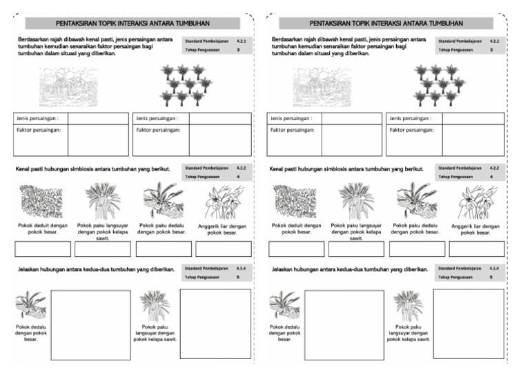 Interaksi Antara Tumbuhan snT6 | PDF