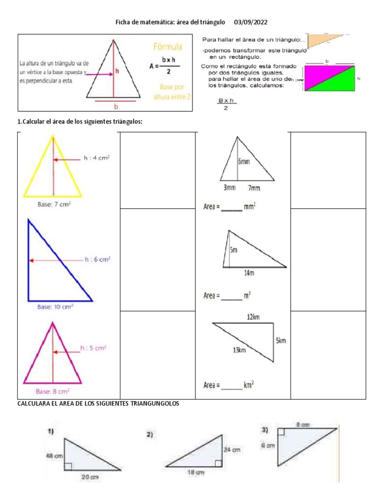 Ficha de Matemática-Area Del Triangulo | PDF