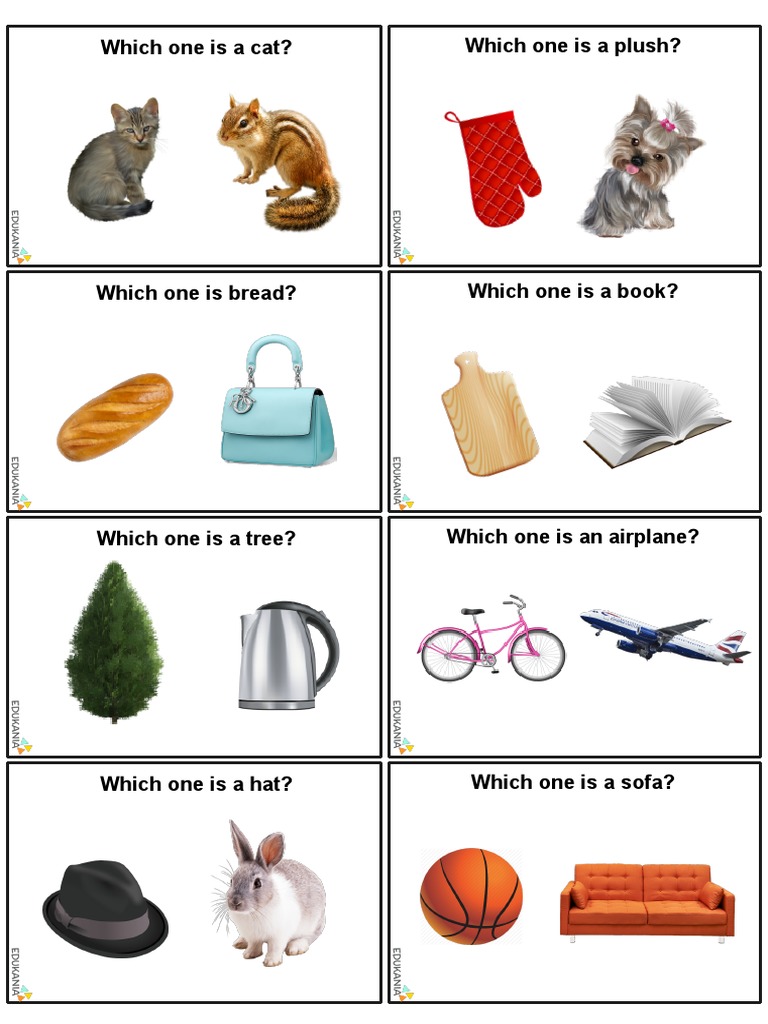 Which Questions - 48 Flashcards ABLLS R Aligned H31 PDF | PDF