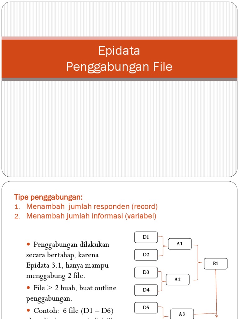 Epidata Penggabungan File 22 | PDF