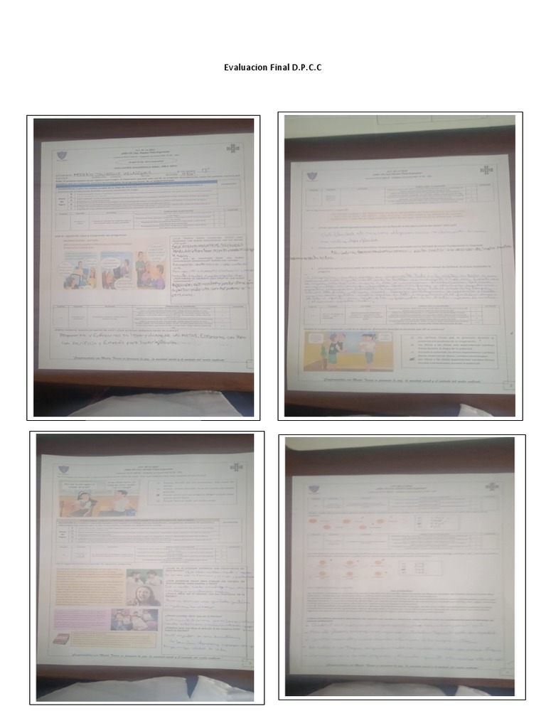 Evaluacion Final D.P.CC Mirko 5 To A | PDF